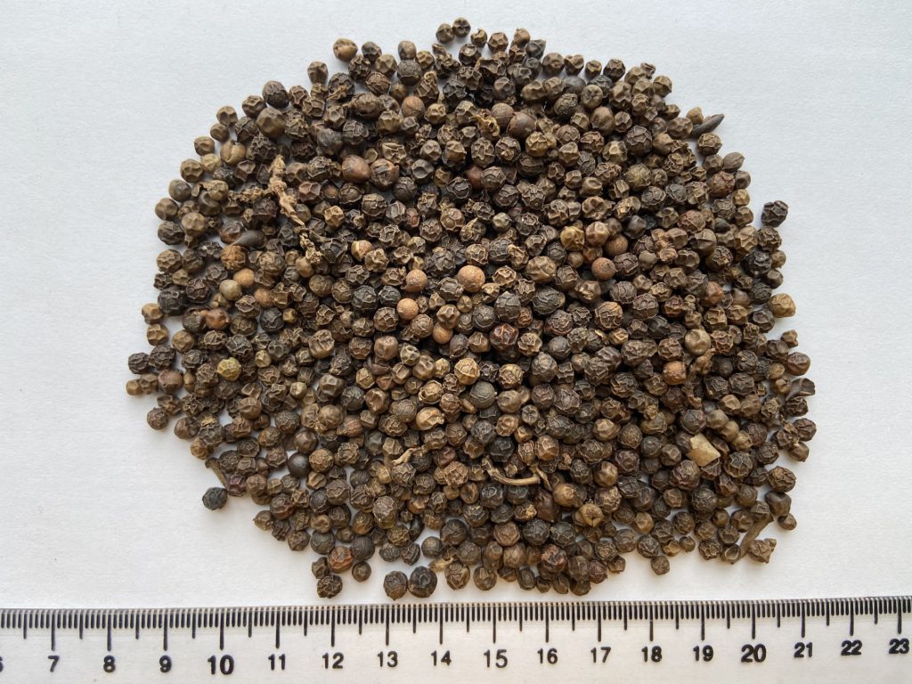 Pepper | Talaviet